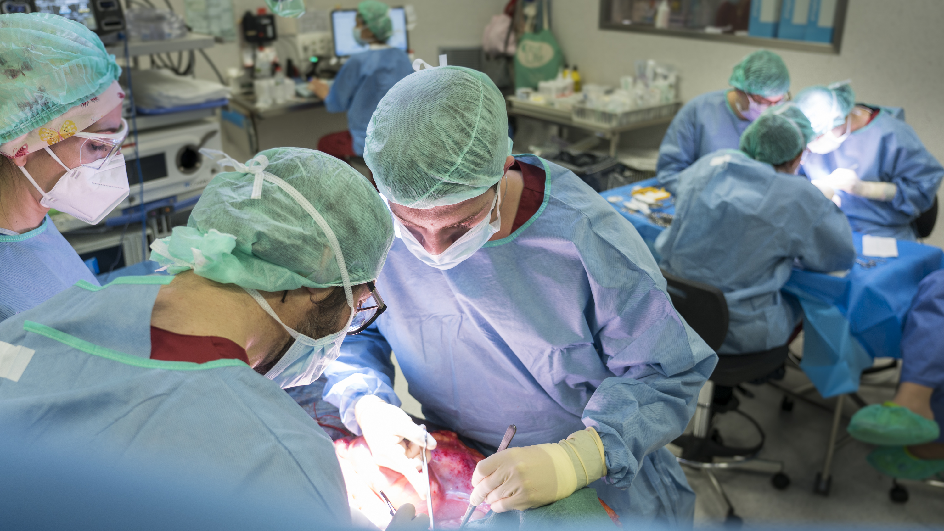 L’Hospital de Bellvitge torna a liderar els trasplantaments cardíacs ...