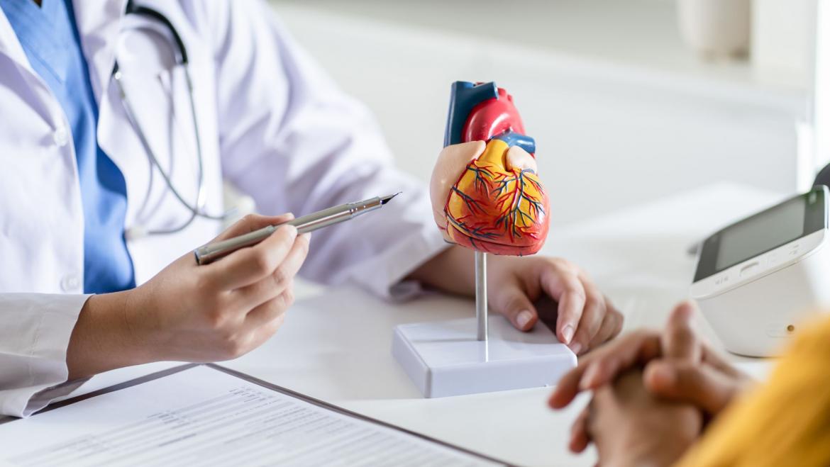 Cirugía de válvula mitral: todos los detalles | Hospital de Bellvitge